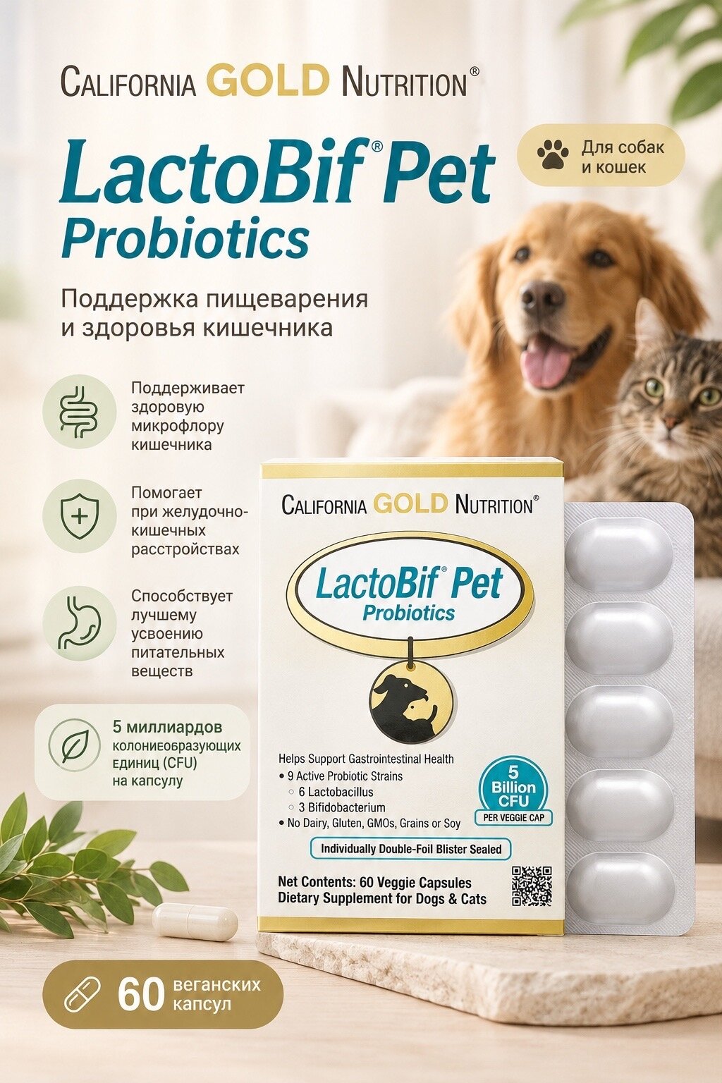California Gold Nutrition, пробиотики LactoBif Pet для животных, 5 млрд КОЕ, 60 растительных капсул