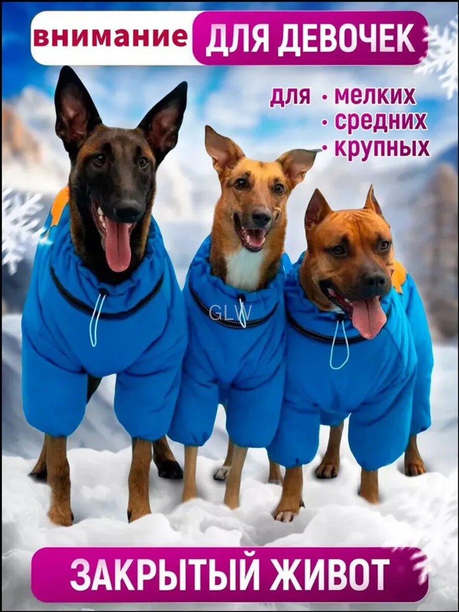 Утепленный комбинезон для собак девочек, синий, размер 18, обхват груди 40
