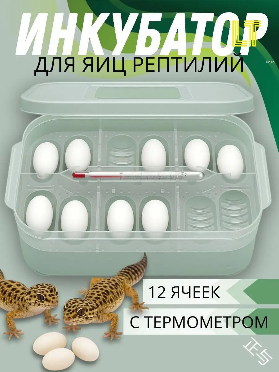 Инкубатор для яиц рептилий на 12 ячеек с термометром для террариума