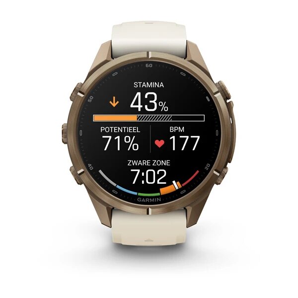 Смарт-часы Garmin Fenix 9 Pro 43 мм Autumn Gold Titanium, Cream / French Grey, силиконовый ремешок (010-04335-26)