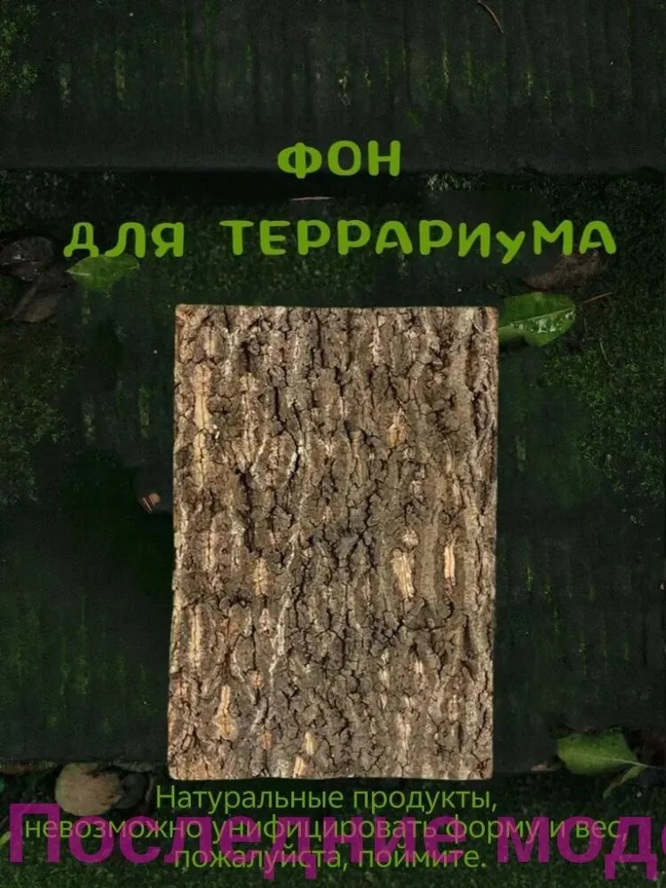 Фон для террариума из натуральной коры пробкового дерева, 30*40 см