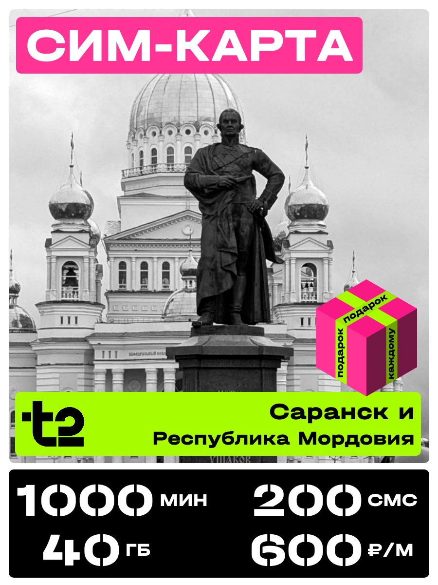 Сим карта теле 2. t2 SIM-карта тариф Партнер М Республика Мордовия. 1000 минут за 600 рублей в месяц.