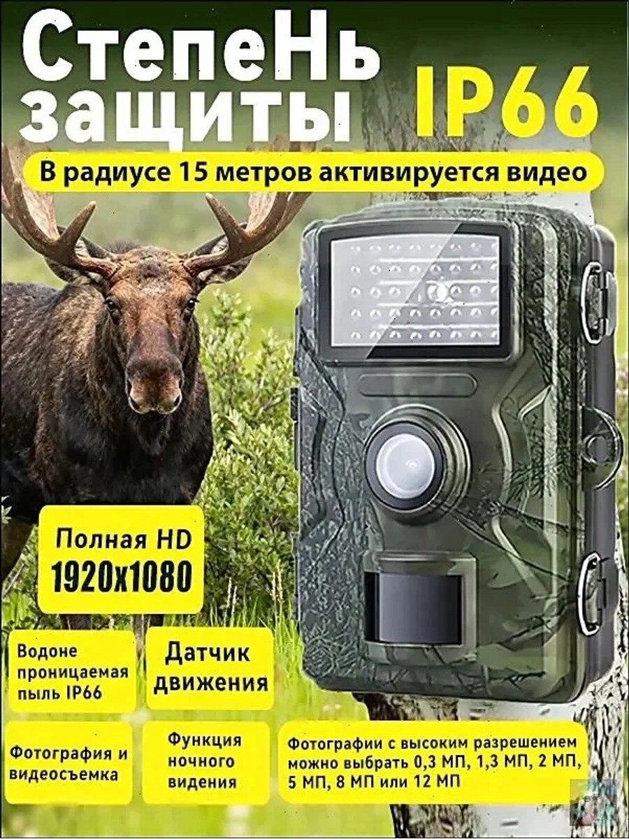 Фотоловушка