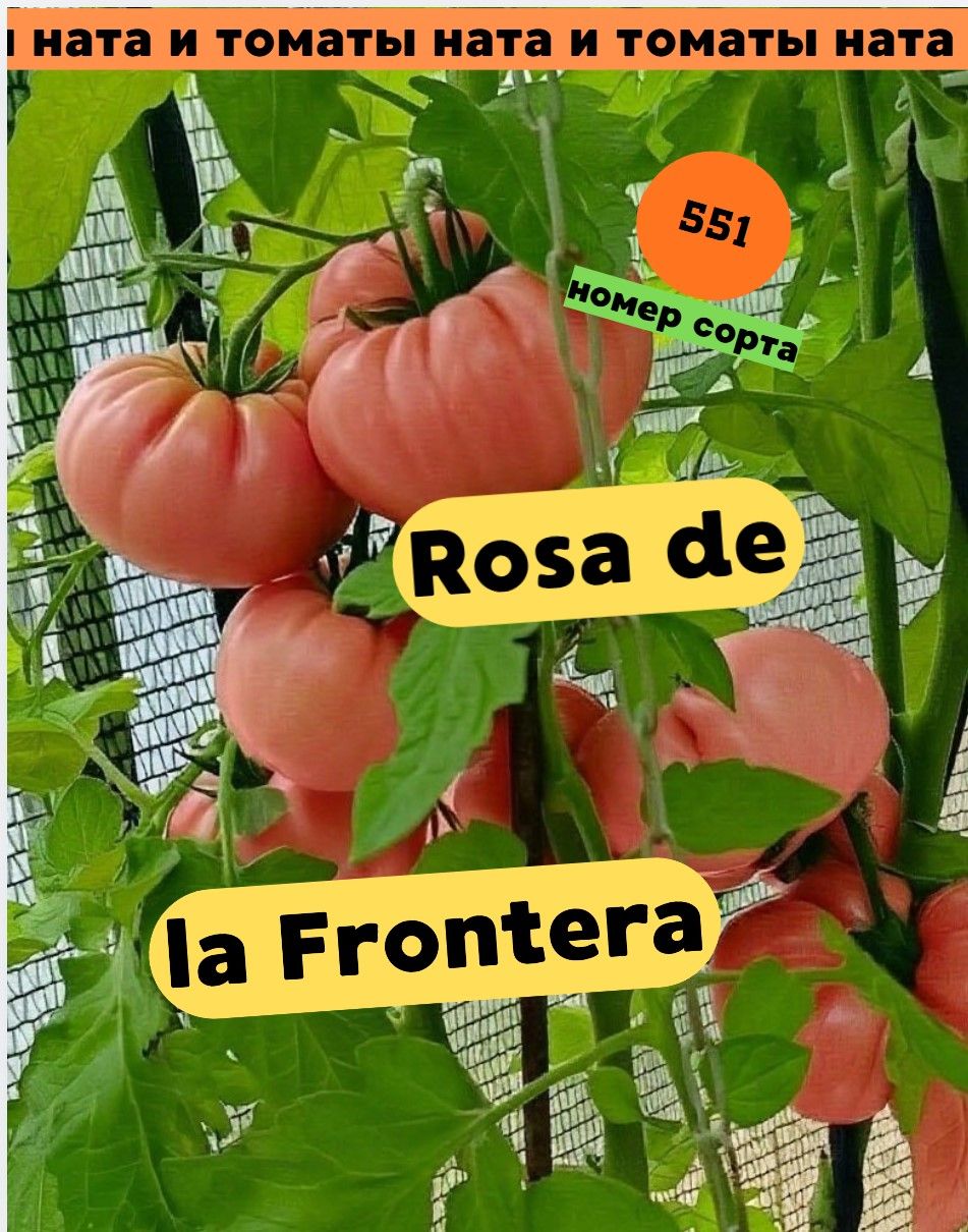 Семена томата Rosa de la Frontera, Коллекционный сорт 10 шт