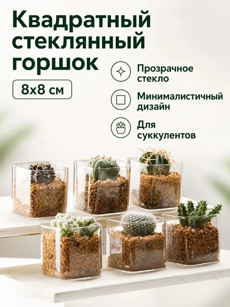 Вазон 0.51 л, 8 см, 1 шт, цвет прозрачный