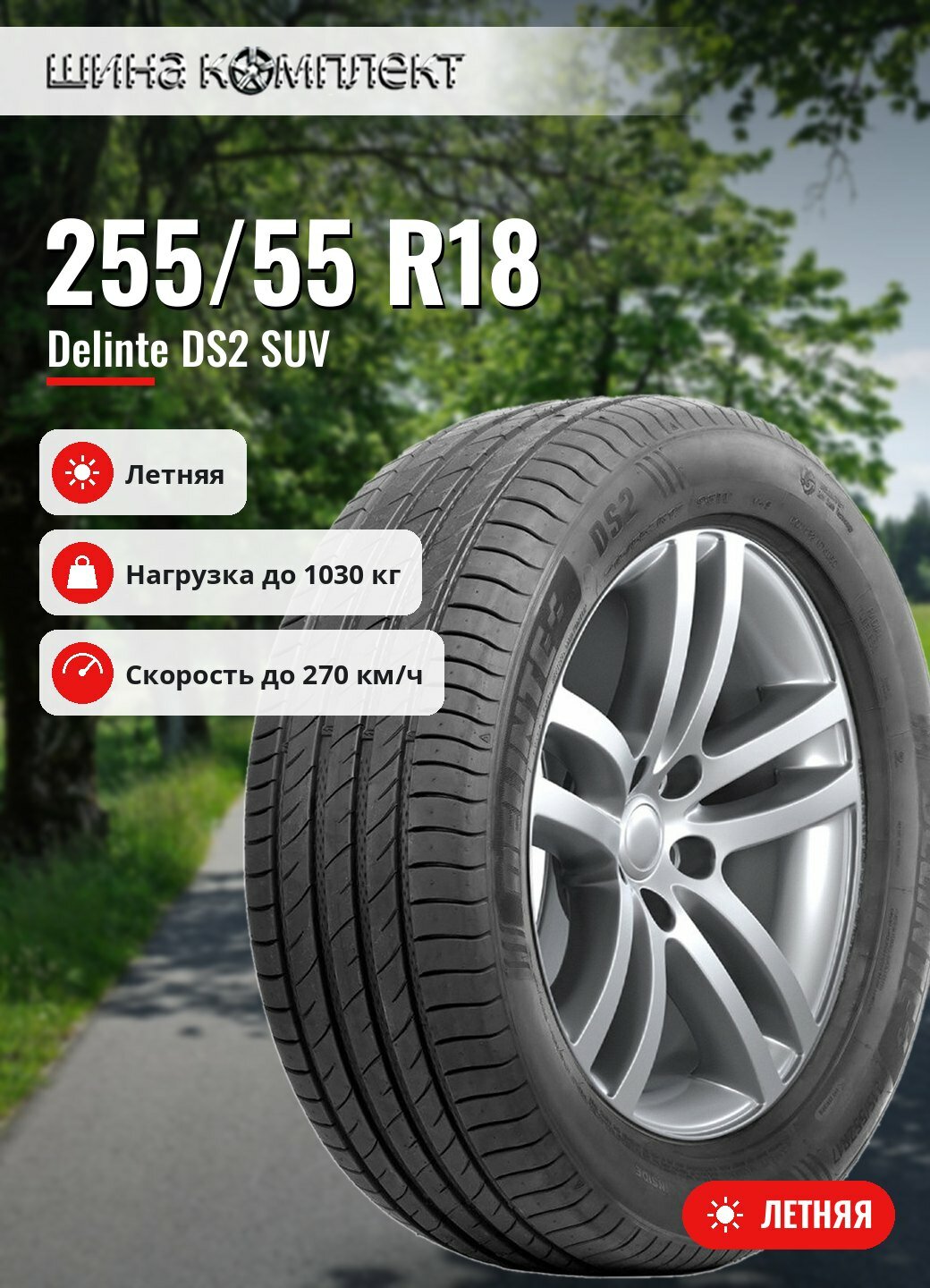 Автомобильная шина Delinte DS2 SUV 255/55 R18 109W летняя для легкового автомобиля