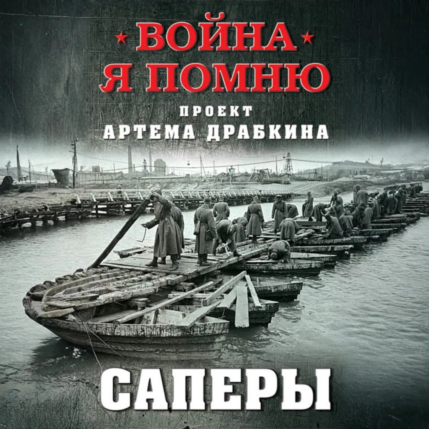 Саперы [Аудиокнига]