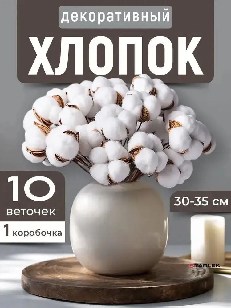 Сухоцветы Хлопок 30 см 10 шт белый