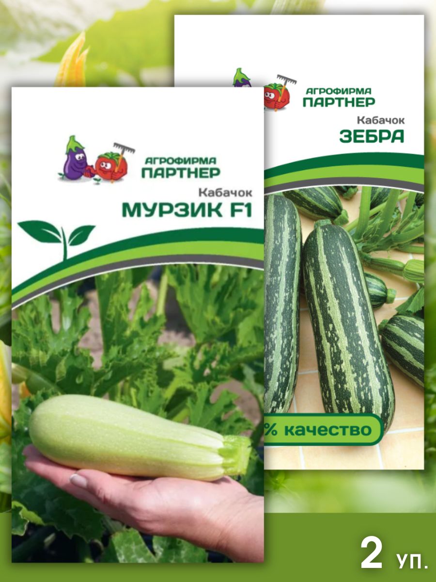 Семена кабачка Мурзик и Зебра