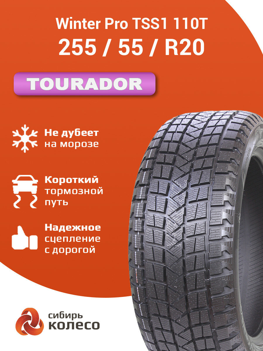 255/55R20 Tourador Winter Pro TSS1 110T