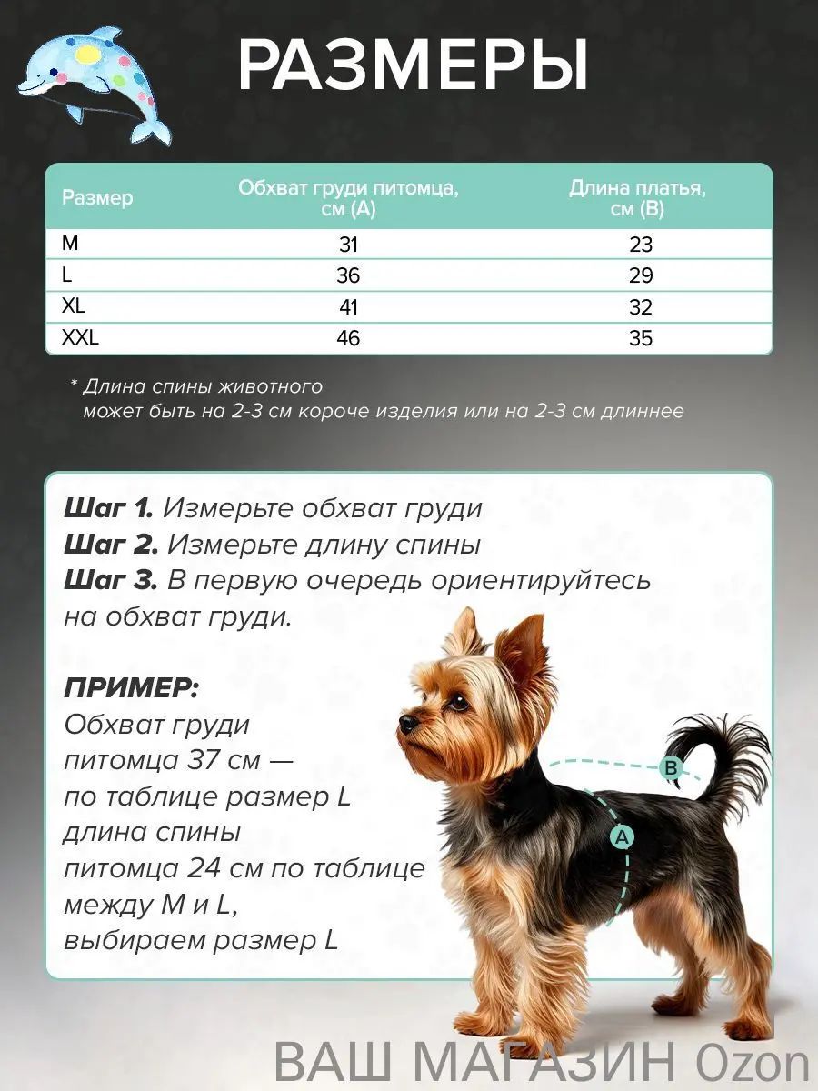 Одежда для животных — фото 1