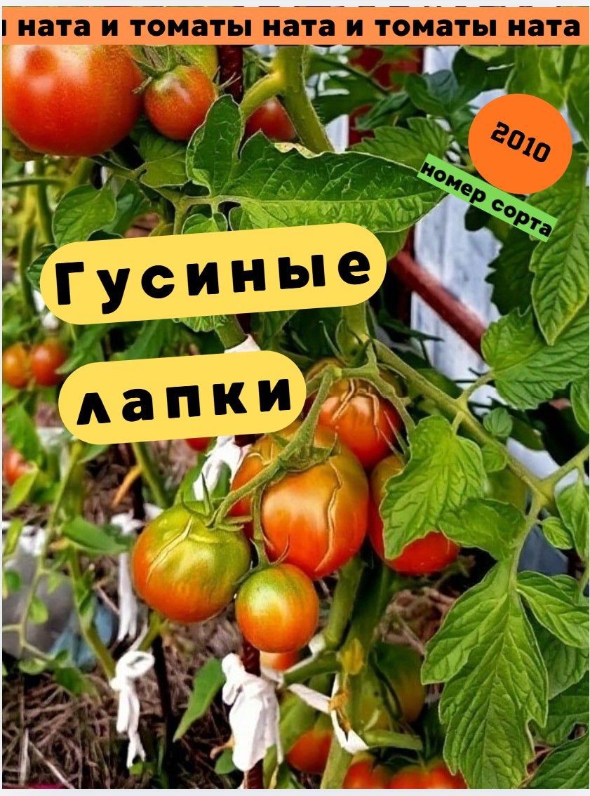 Семена томата Гусиные лапки, Коллекционный сорт 10 шт
