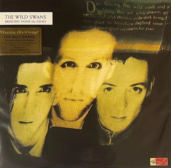 Виниловая пластинка THE WILD SWANS Bringing Home The Ashes (LP, Coloured)