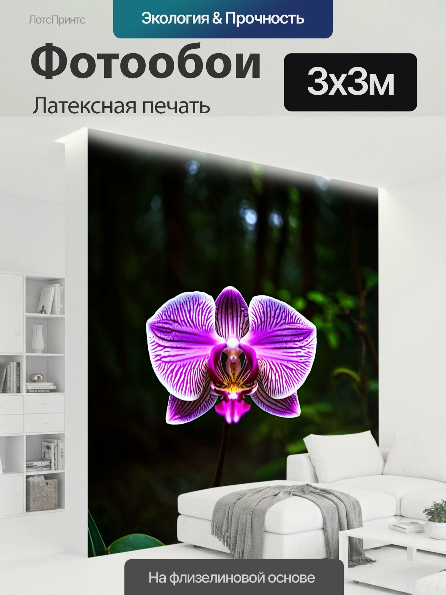 Фотообои моющиеся ударопрочные "Орхидея, излучающая внутренний свет, на фоне темного леса" 300x300 см. латексная печать