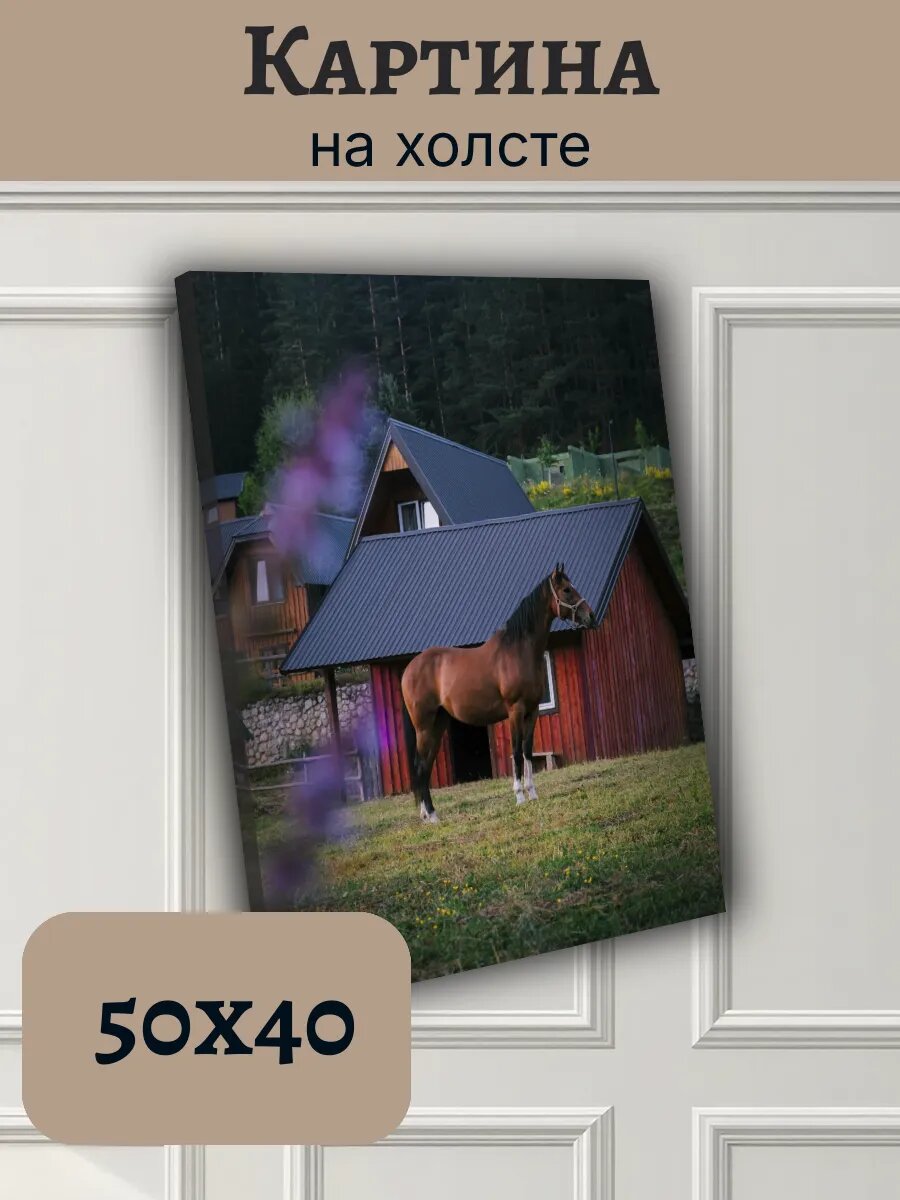 Картина Черногория Montenegro 40x50 горный пейзаж с конем