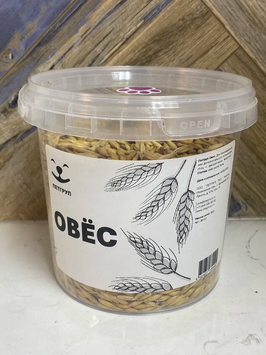 Овёс сорт Яков — фото 1