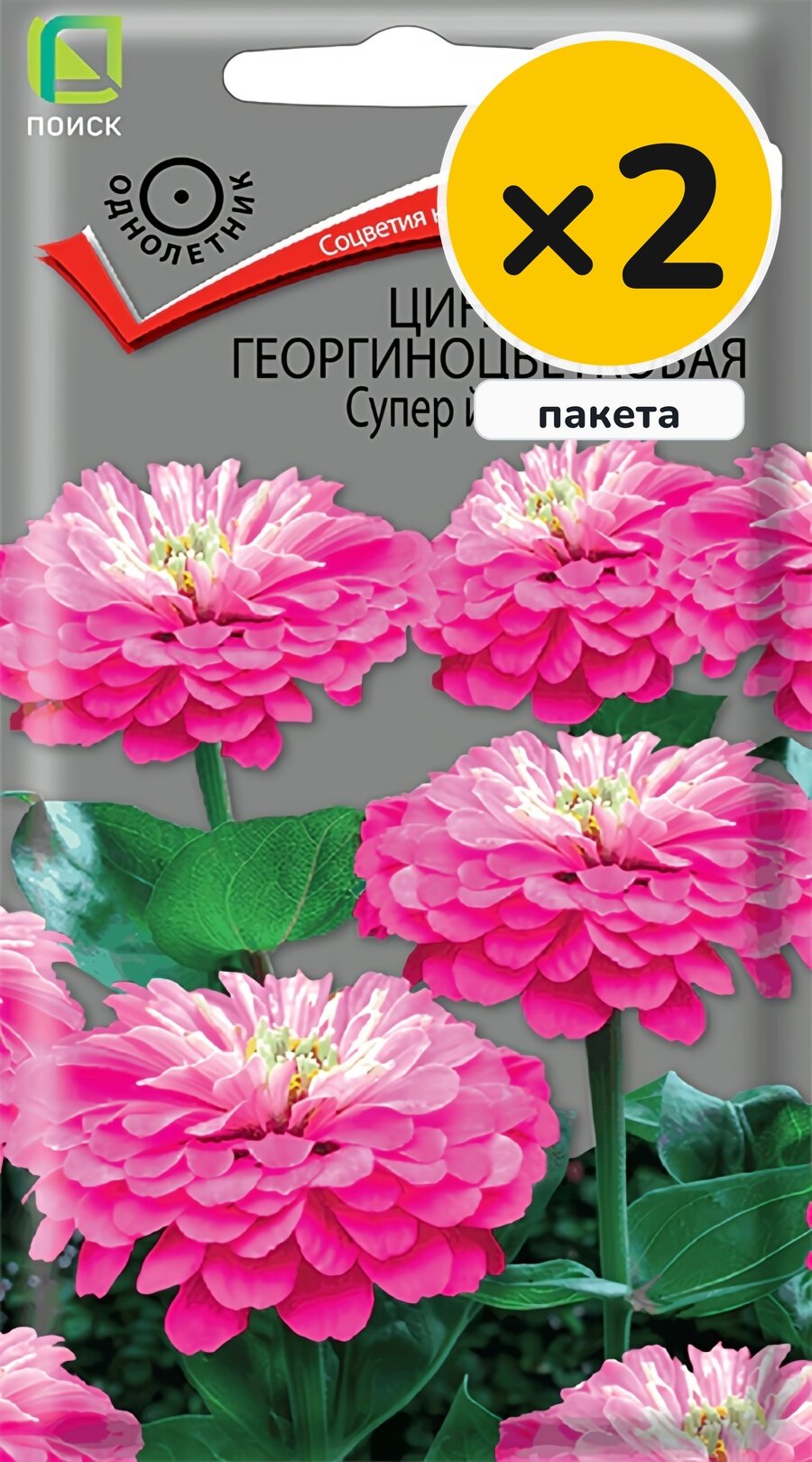 Семена циннии георгиноцветковой Супер йога роуз, 0,4 г, 2 пакета, Поиск, однолетник, высота до 90 см