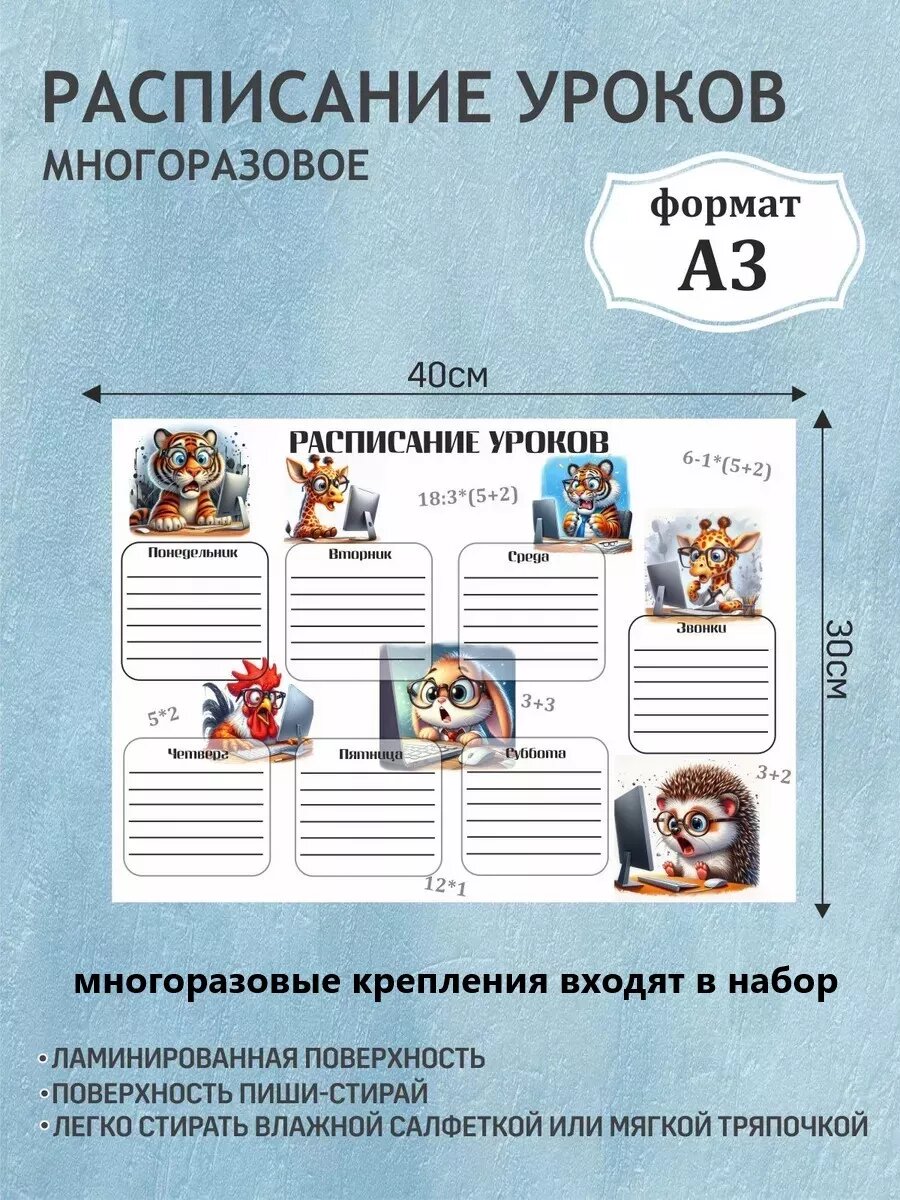 Расписание уроков настенное многоразовое