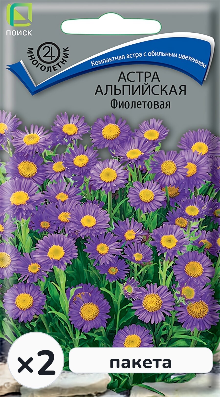 Семена астры альпийской Фиолетовая, 0,04 г, 2 пакета, поиск, многолетник, высота до 30 см