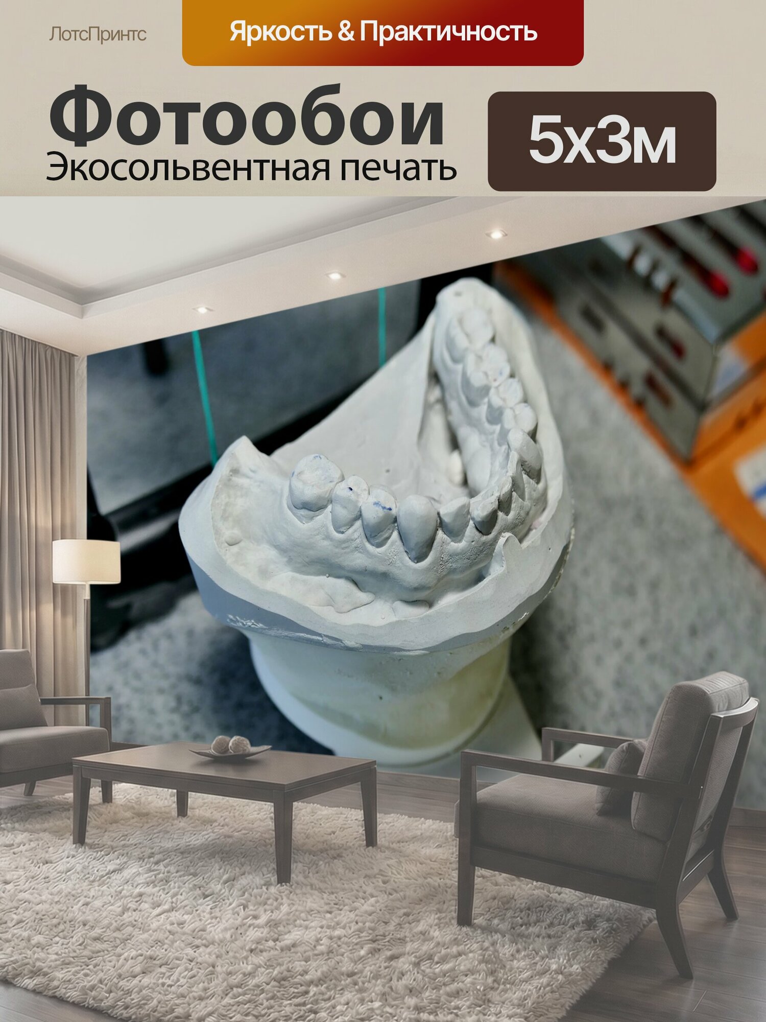 Фотообои "Модель зуба, челюсть, зубы" 500x300 см. экосольвентная печать