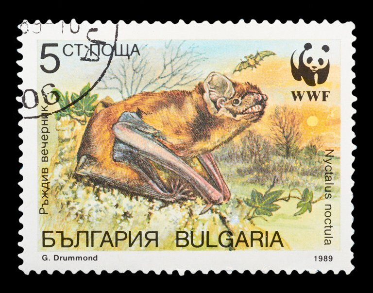 (1989-016) Марка Болгария "Рыжая вечерница" Летучие мыши III