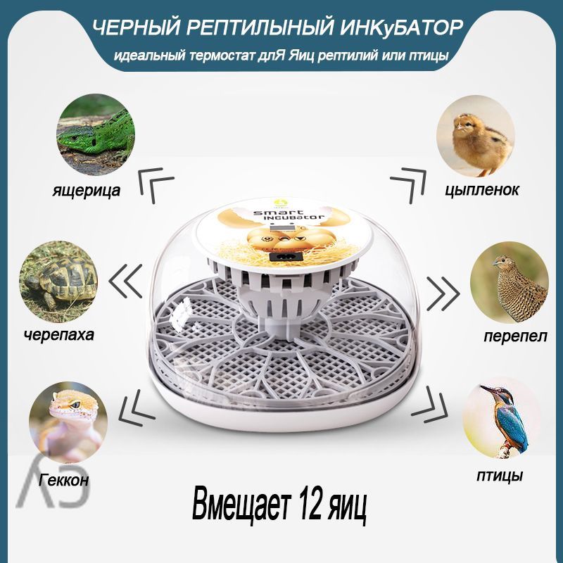 Инкубатор для рептилий
