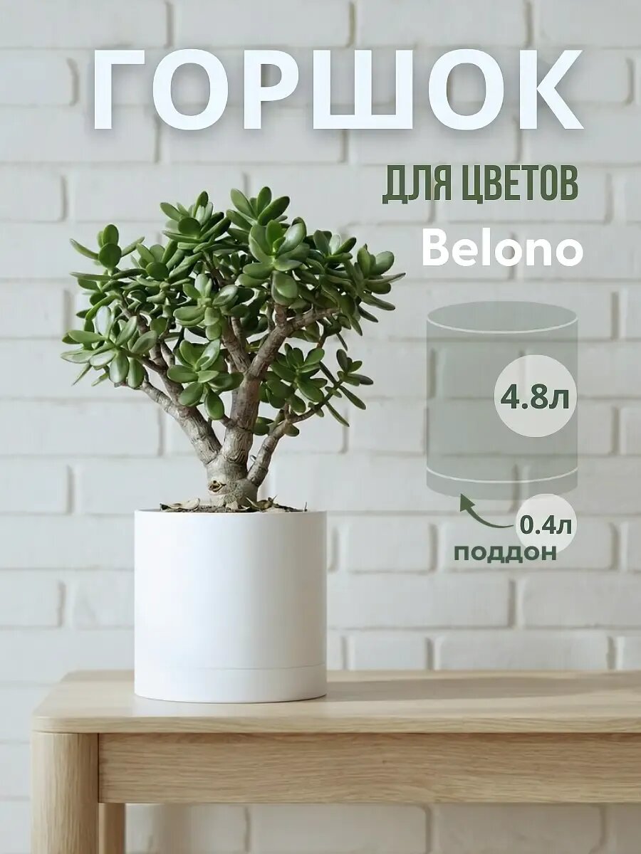 Горшок для цветов с поддоном цилиндрический 5 л, d 20 см