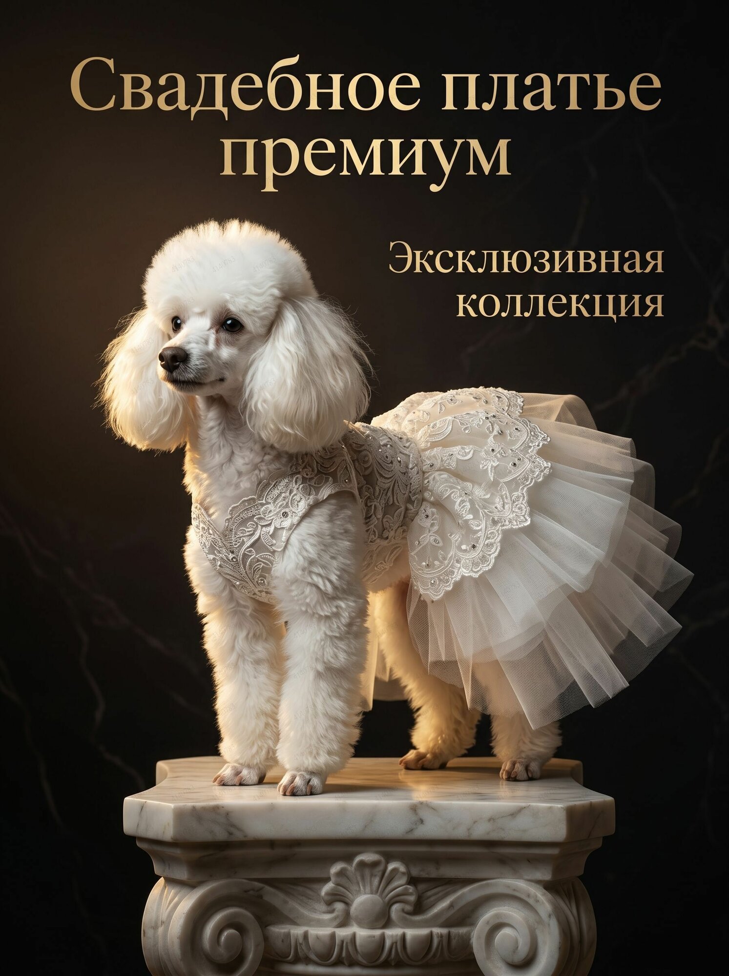 Одежда для животных — фото 1