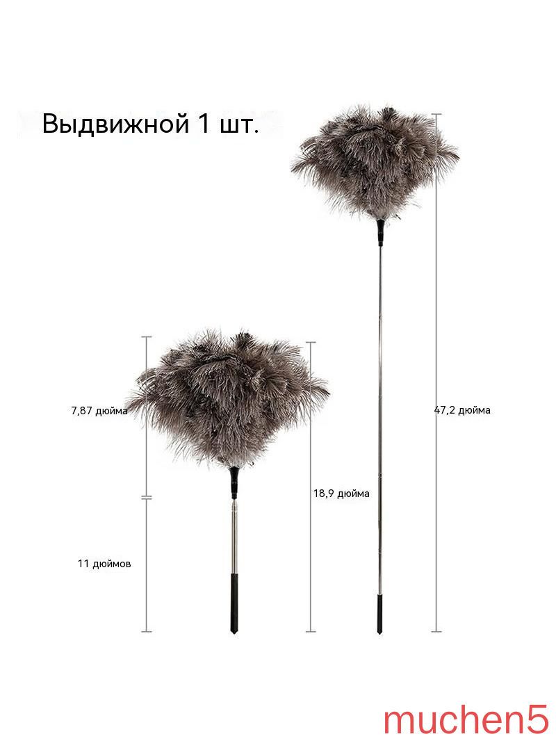 Пипидастр