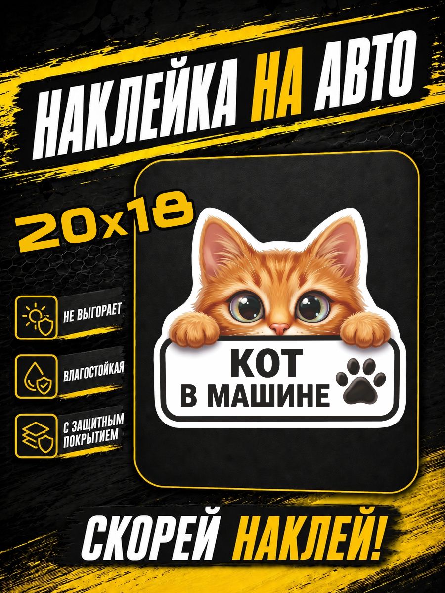 Наклейка на авто Кот в машине котик