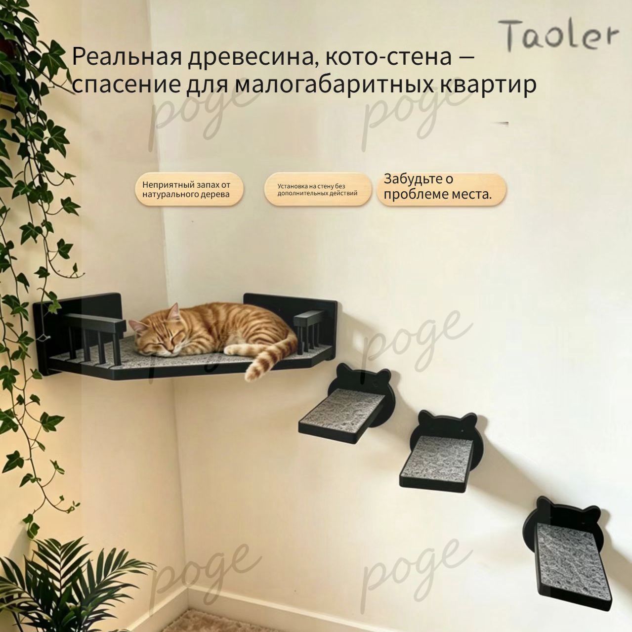 Настенный комплекс для кошек из дерева, когтеточки, лестница лазалка, полки трапы, набор креплений в комплекте, прочный