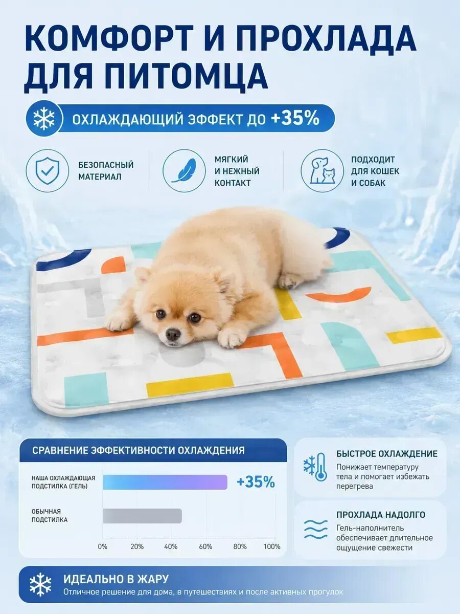 Эвкалипт стабилизированный, Сухоцветы для декора