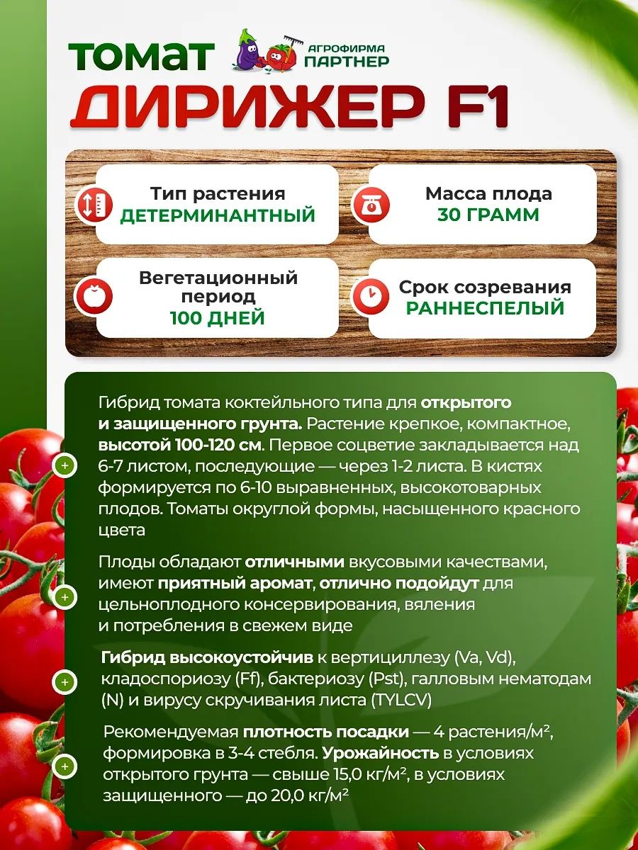 Томат Дирижер — фото 1