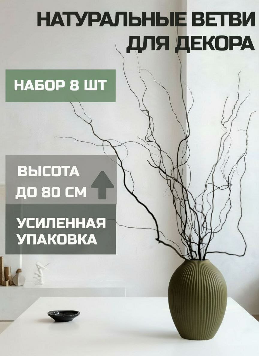 Сухоцветы Извилистая Ива 80 см 8 шт зеленый