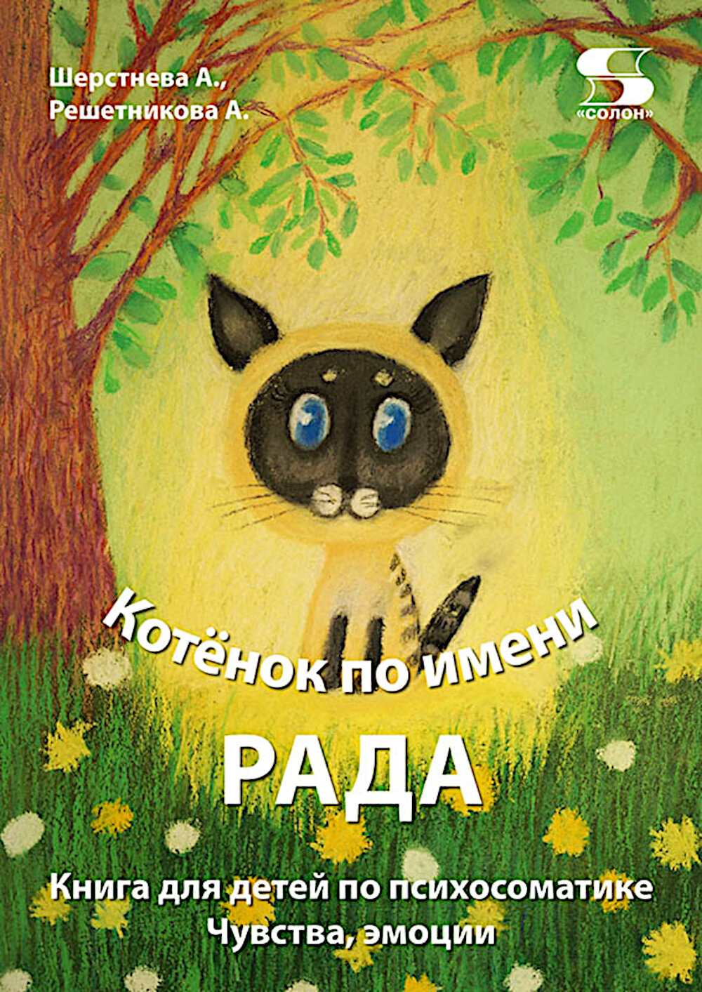 Книга для детей по психосоматике. Чувства, эмоции. Котенок по имени Рада. Решетникова А. А, Шерстнева А.