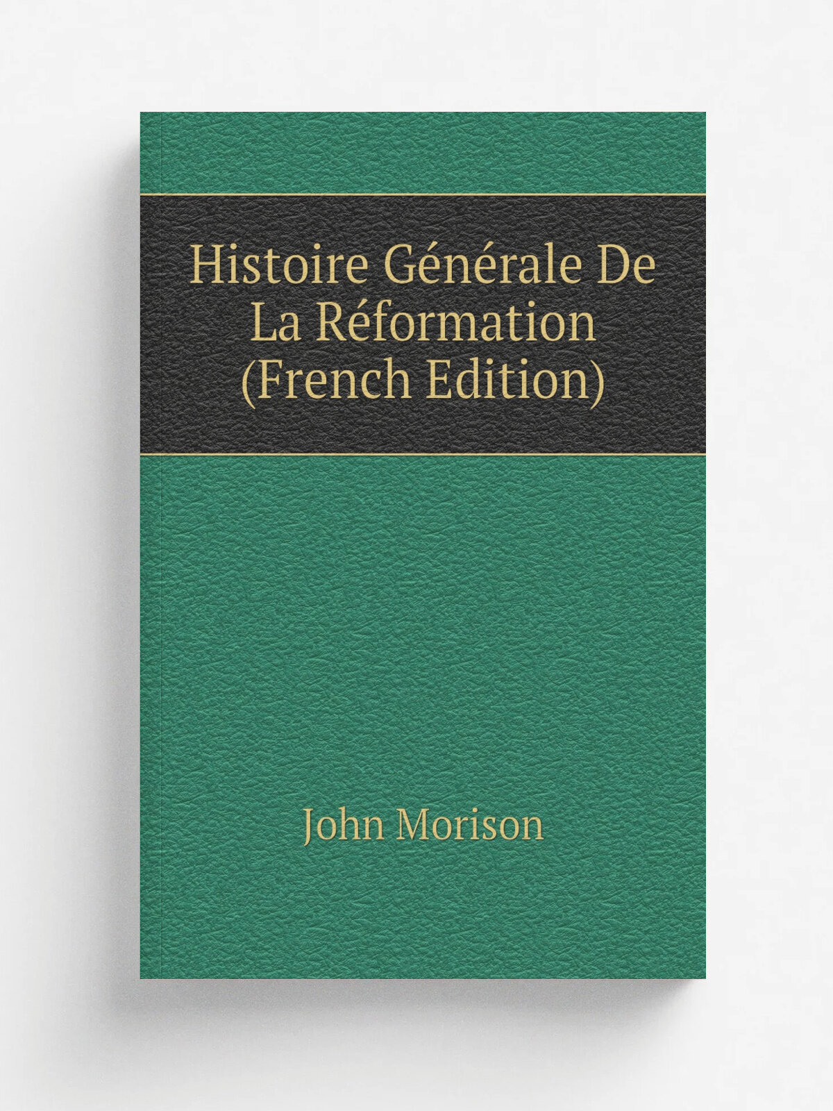 Histoire G.n.rale De La R.formation (French Edition) | John Morison | Репринт