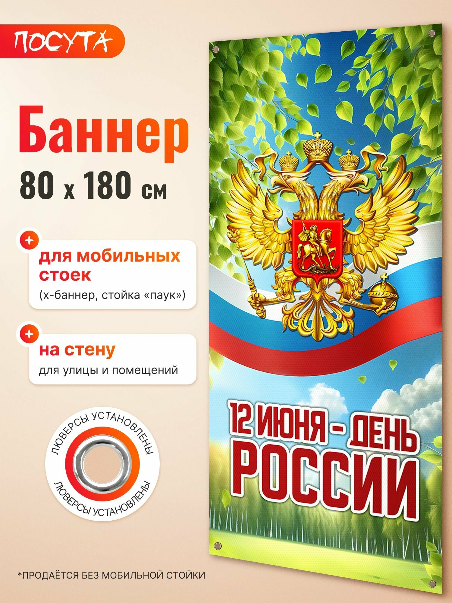 Баннер 12 июня День России
