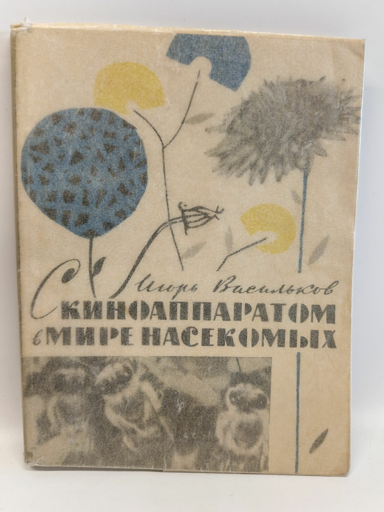 С киноаппаратом в мире насекомых