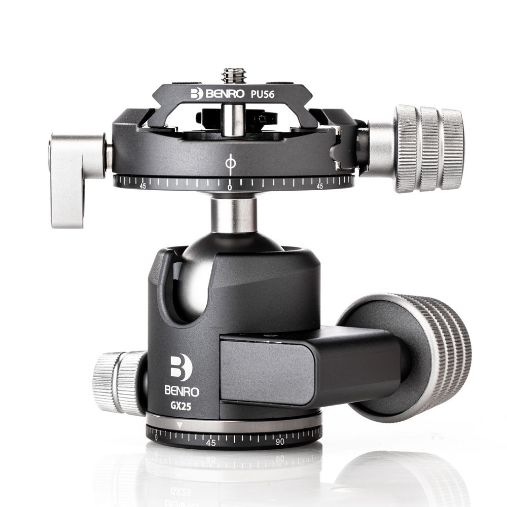 Штативная головка Benro GX25 Dual Panoramic/Arca-swiss style/25 кг