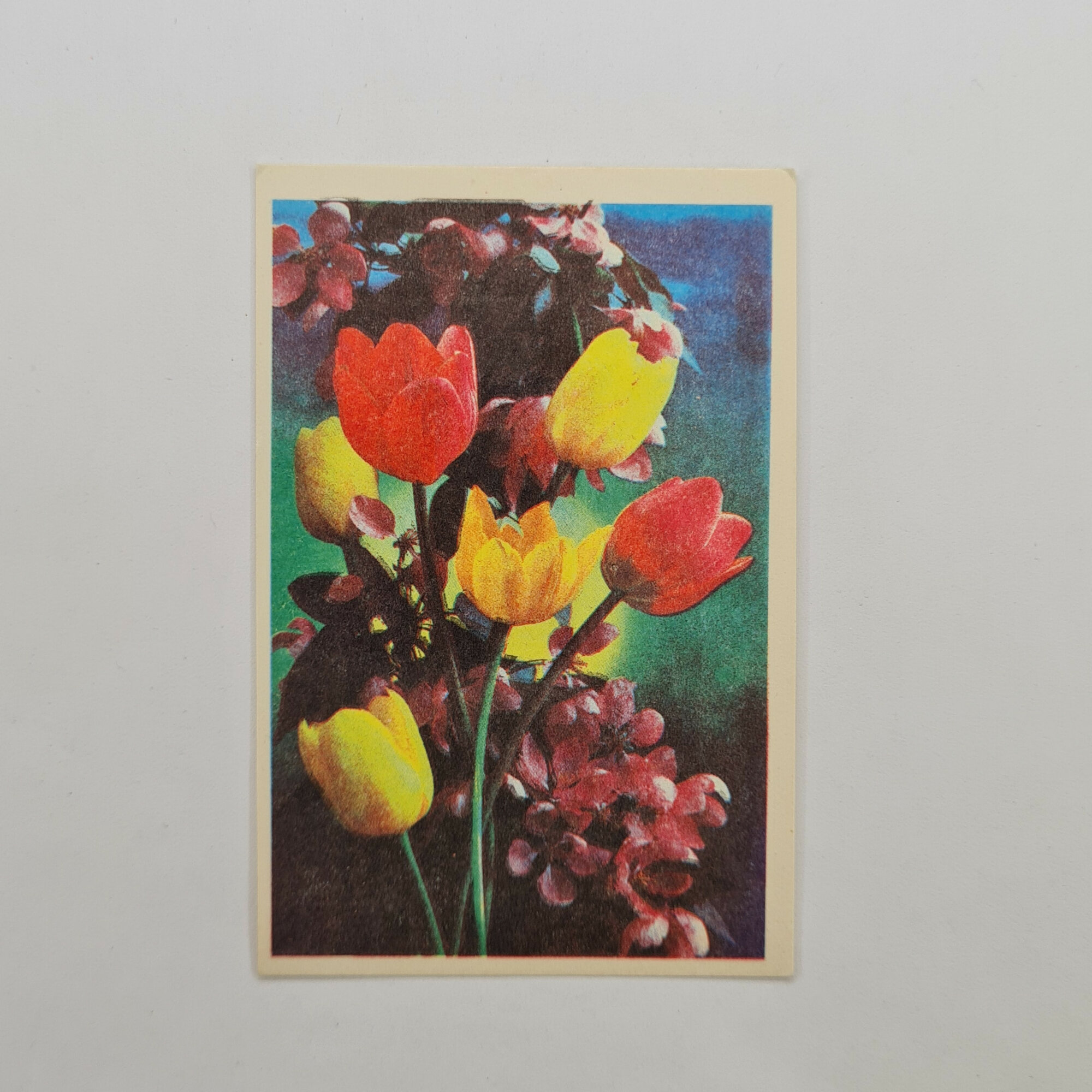 Карманный календарик СССР 1986. Тюльпаны и цветы, издательство ЦК КП Грузии. Советский календарь
