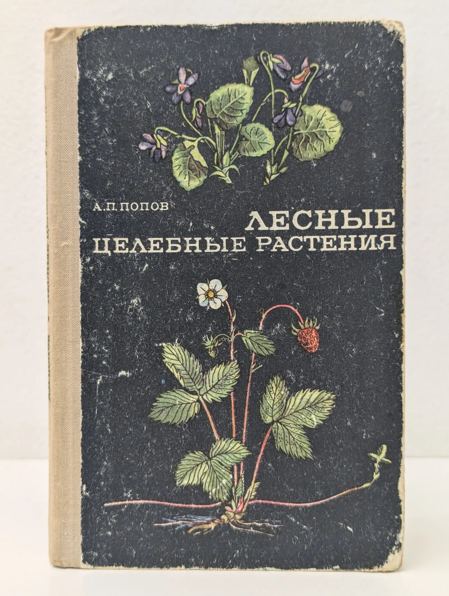 Лесные целебные растения Попов Алексей Петрович 1973