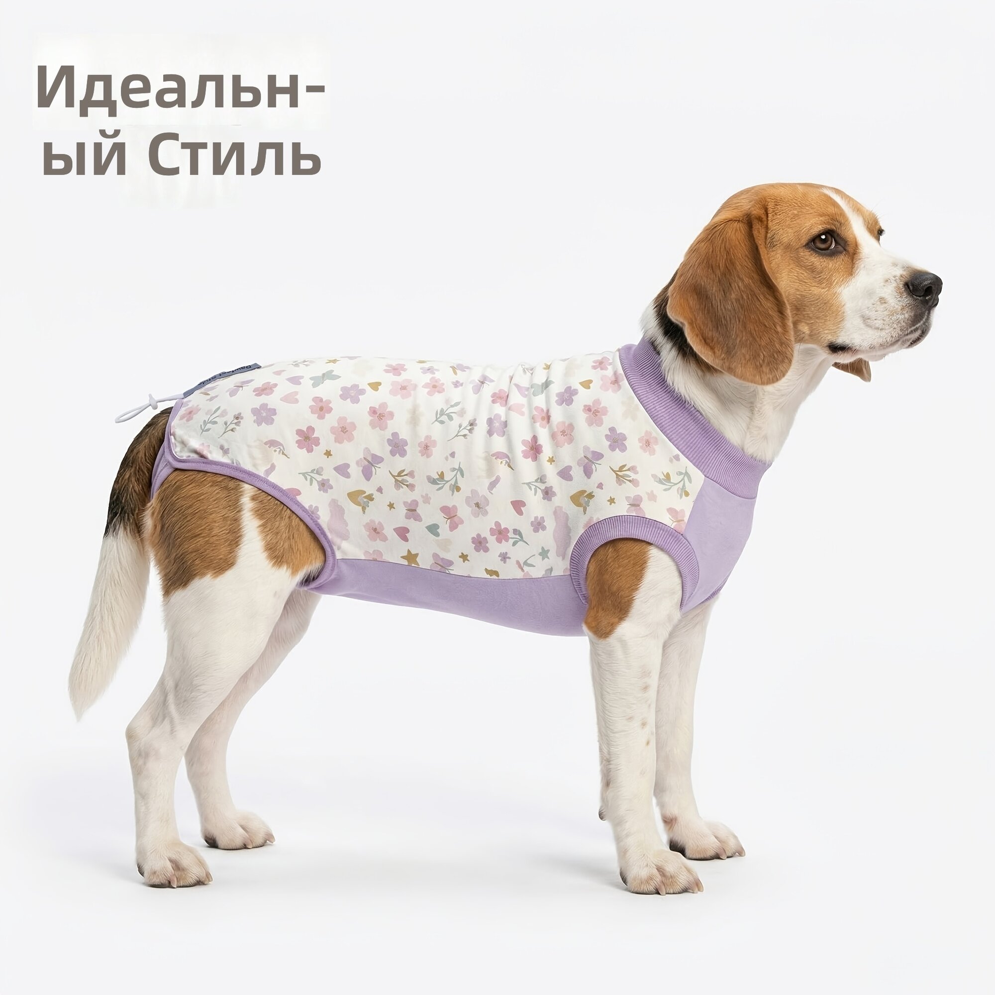 Послеоперационный комбинезон для собак мелких и средних пород на липучке для защиты от вылизывания после стерилизации и кастрации, размер XXL