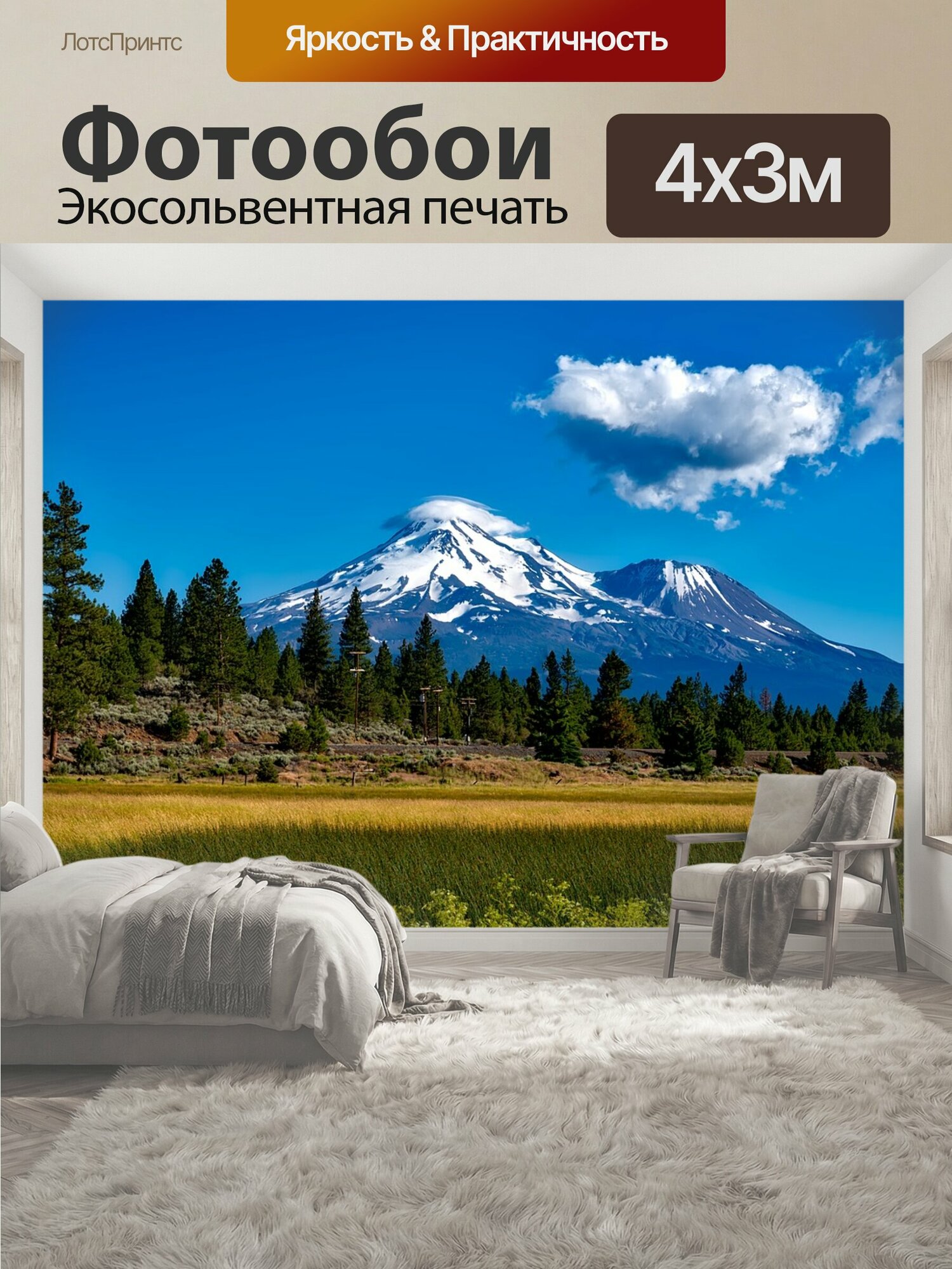 Фотообои "Гора шаста, калифорния, вулкан" 400x300 см. экосольвентная печать