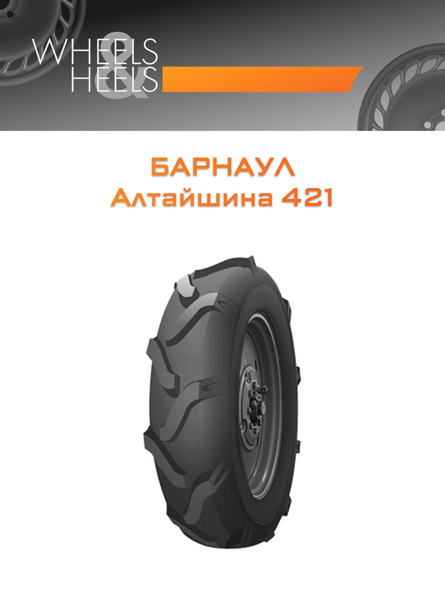 Шина автомобильная Барнаул Алтайшина 421 6/0 R12 UNKNOWN, летняя, универсальная