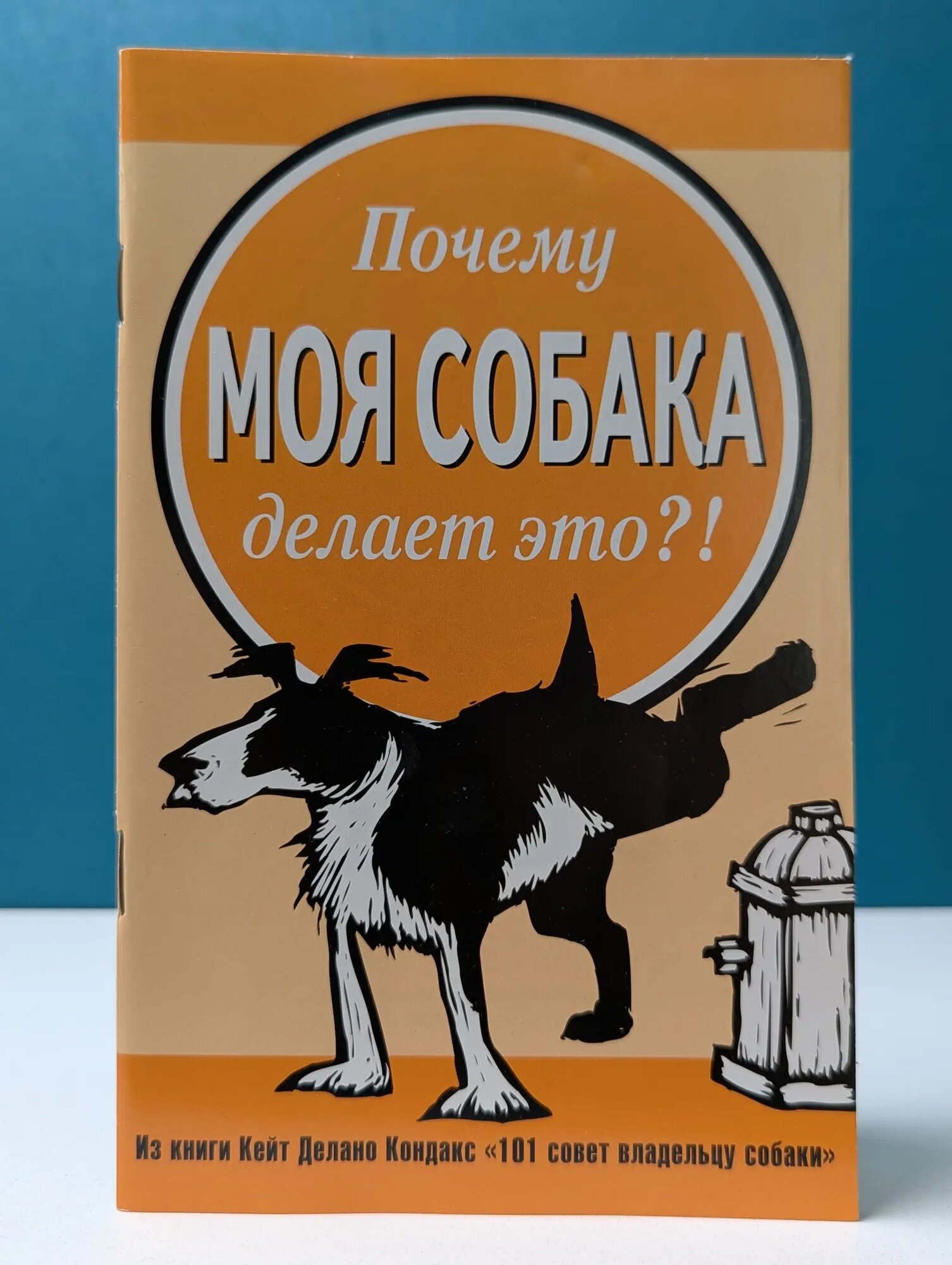 Почему моя собака делает это! Почему моя кошка делает это! Смит Карен, Кондакс Кейт Делано 2000