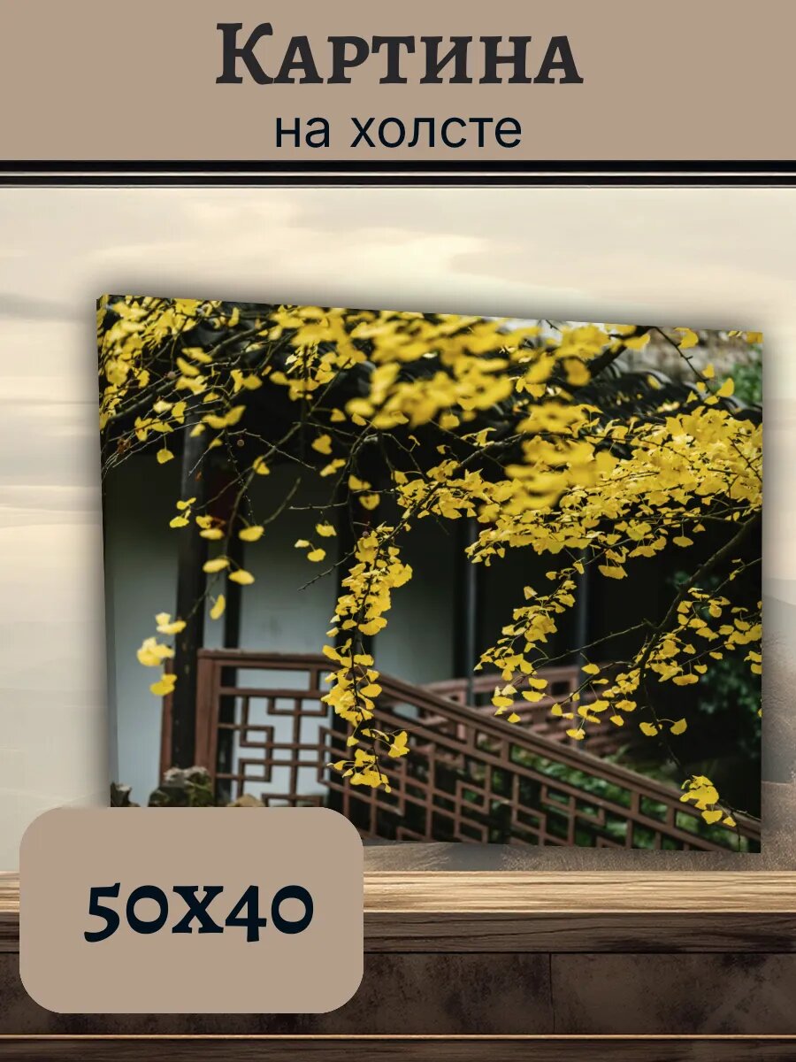 Картина Постер Китай China 40x50 с гинкго