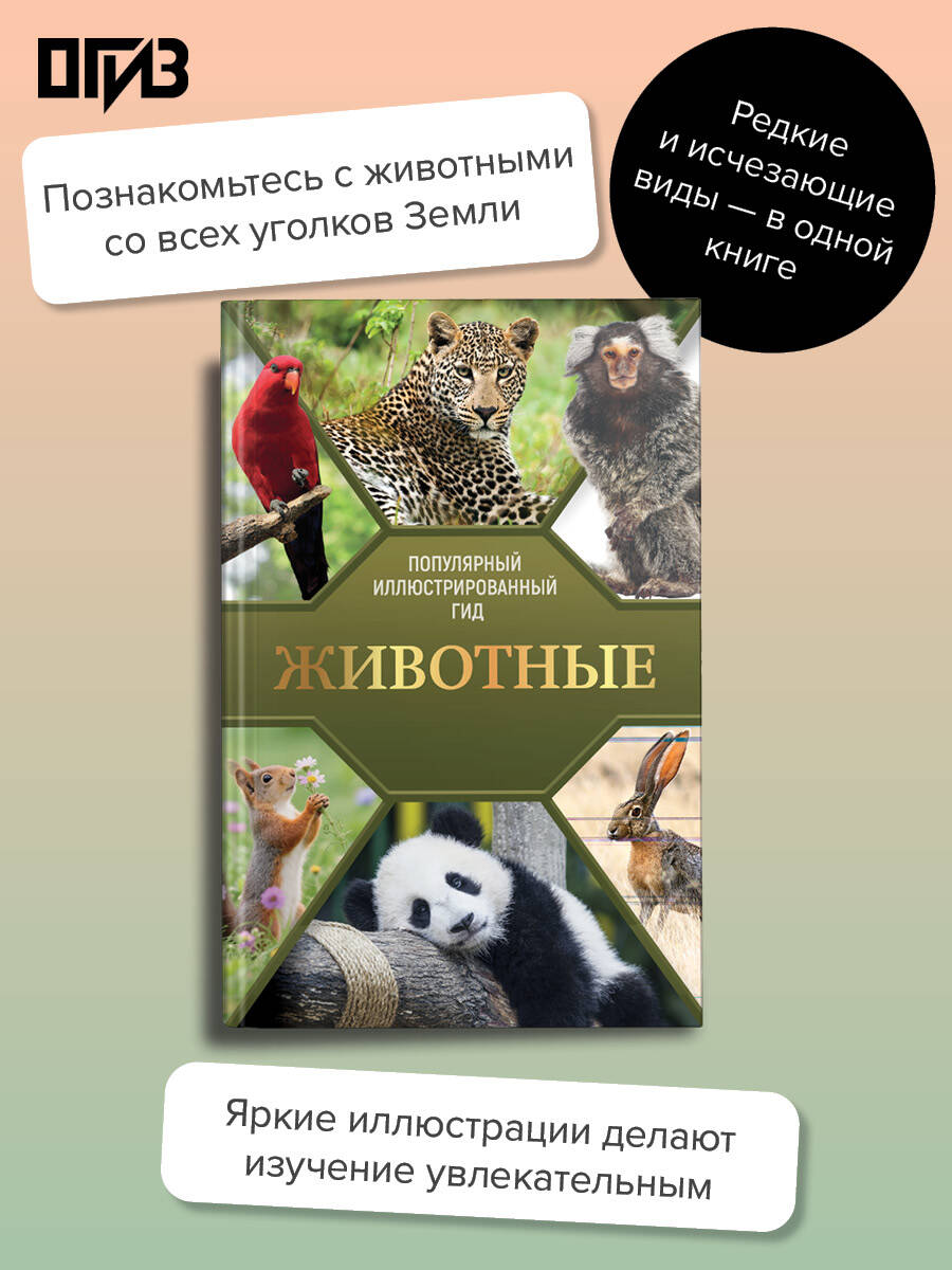 Животные. Популярный иллюстрированный гид Владимир Баженов книга от издательства АСТ