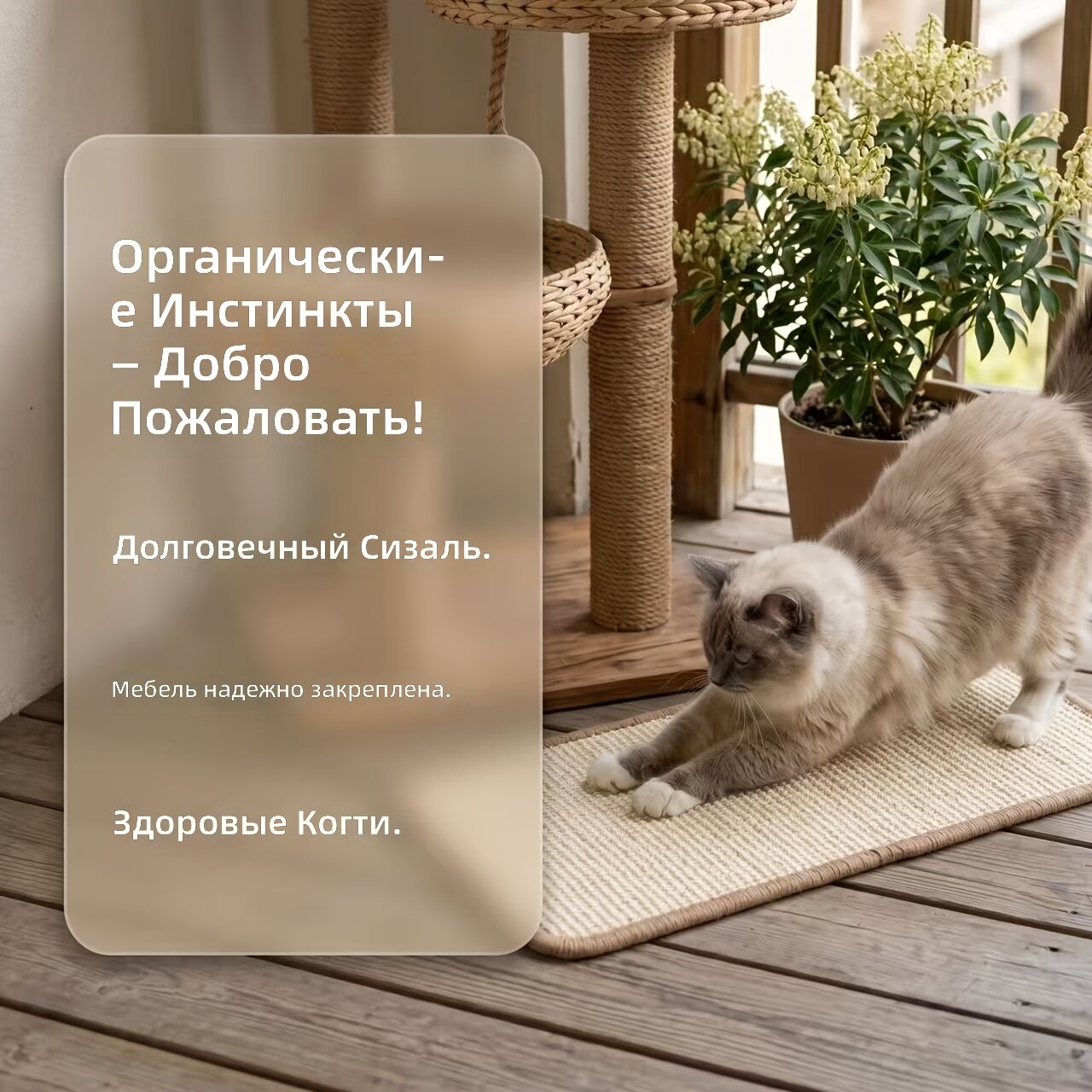 Коврик-когтеточка из износостойкого гофрированного картона с плетеной текстурой, бежевый с окантовкой светло-коричневого цвета, классический стиль, для кошек и собак мелких и средних пород