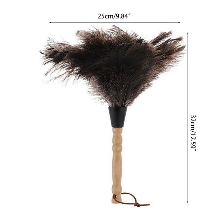 Пипидастр — фото 1