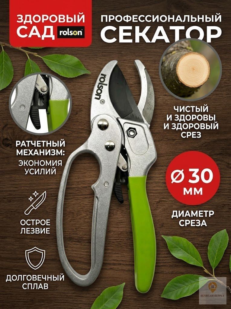 Сучкорез, Темно-серый